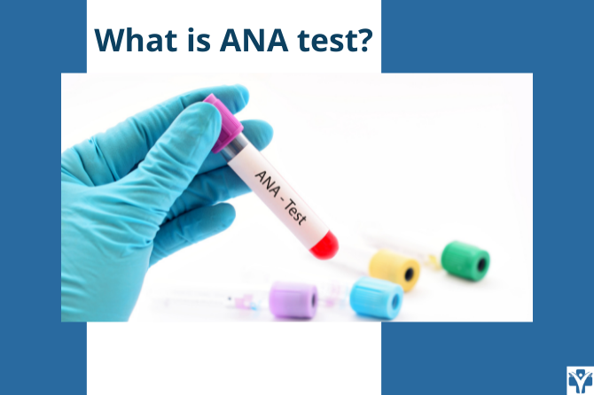 Blog - Rheumatologist OnCall