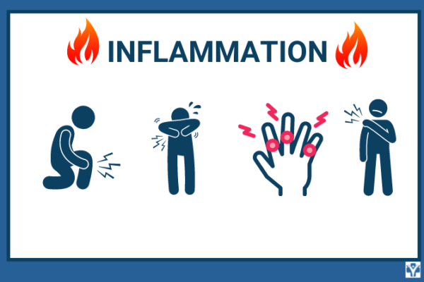 What Are The Markers of Inflammation? » Rheumatologist OnCall