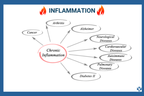 What Are The Markers of Inflammation? » Rheumatologist OnCall