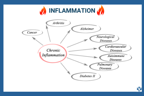 What Are The Markers of Inflammation? » Rheumatologist OnCall