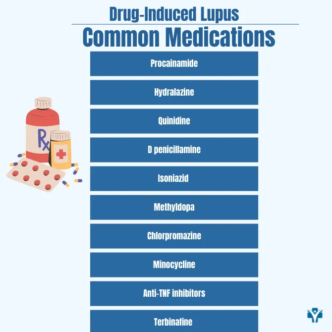 Drug Induced Lupus Systemic Lupus Erythematosus (SLE) (aka Lupus)